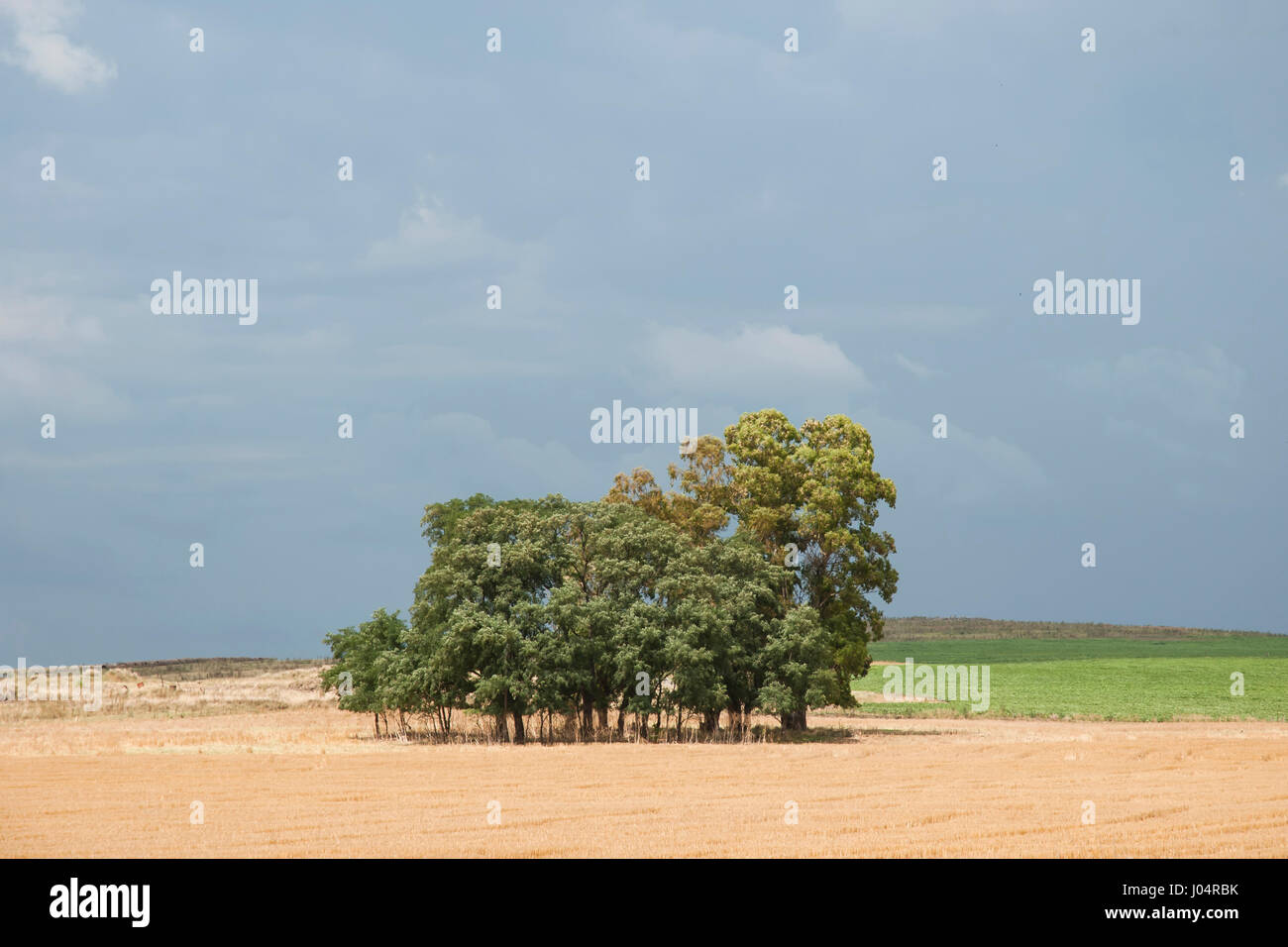 Argentina countryside hi-res stock photography and images - Alamy