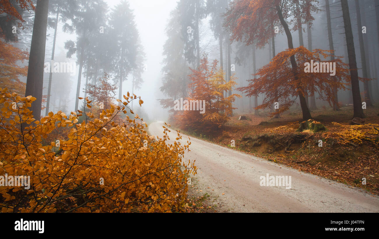 Autumn in german Mountains and Forests - During a hiking tour in some ...