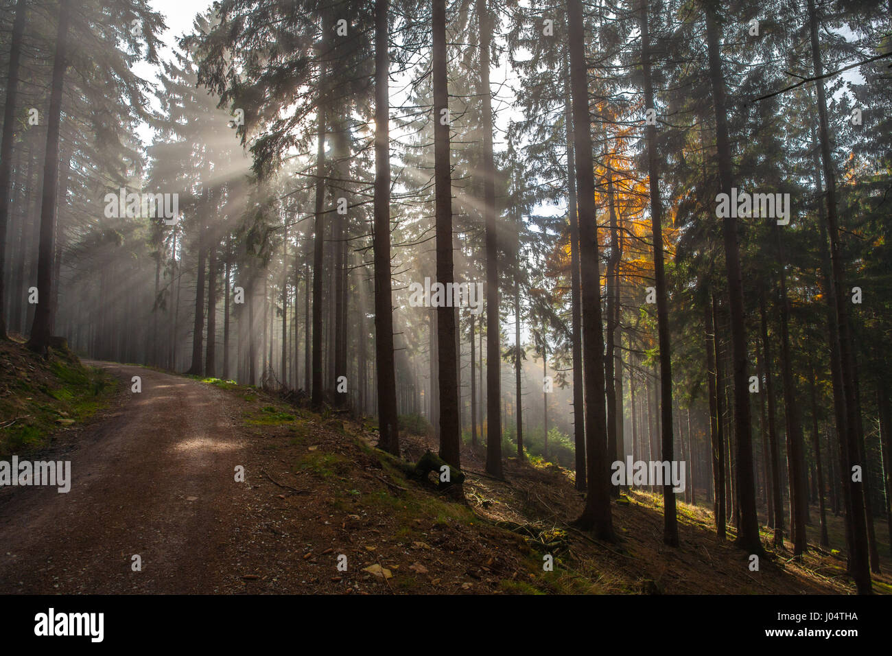 Autumn in german Mountains and Forests - During a hiking tour in some ...