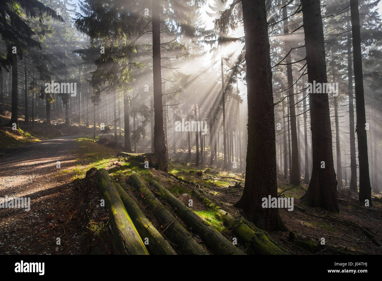 Autumn in german Mountains and Forests - During a hiking tour in some ...