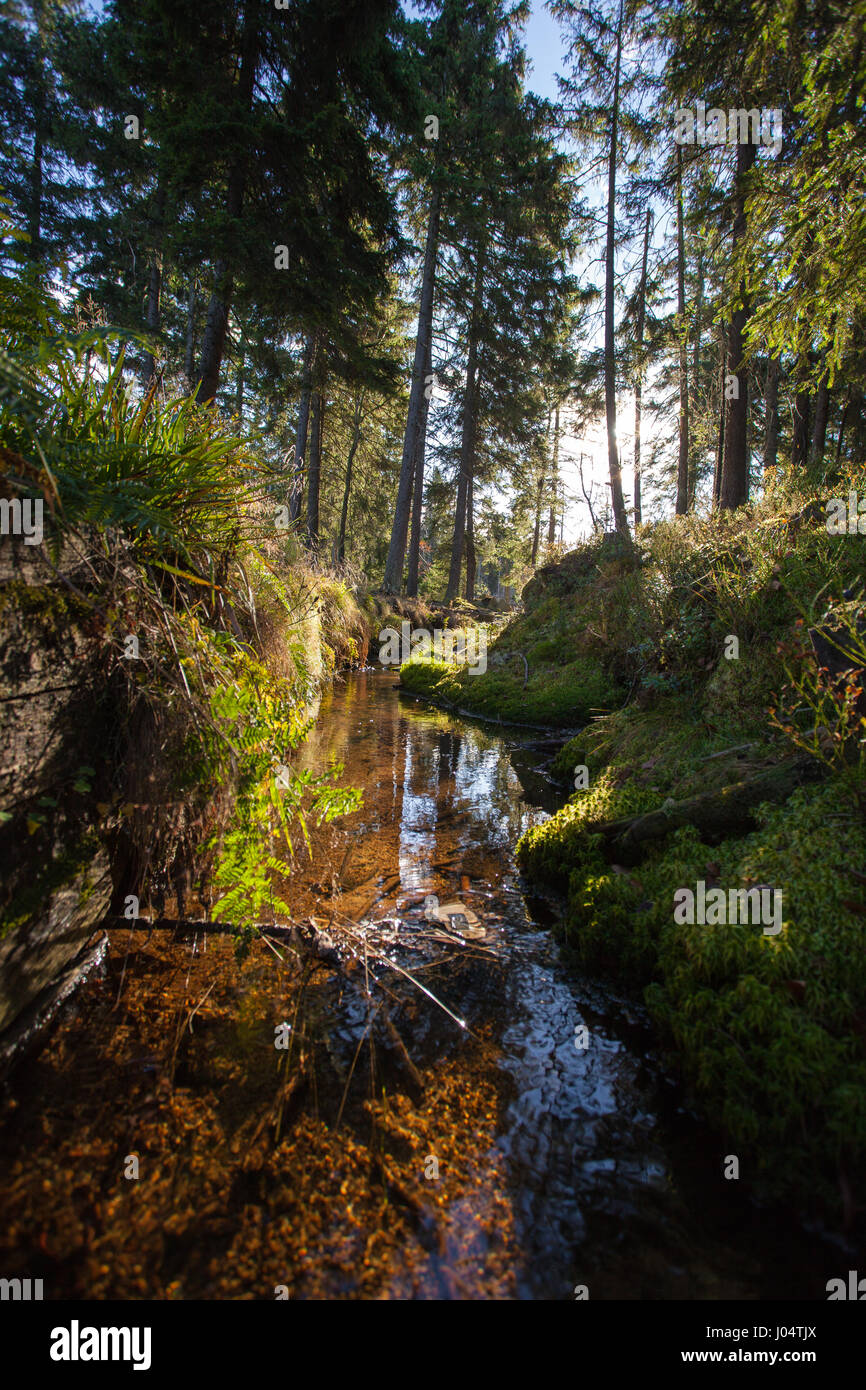 Autumn in german Mountains and Forests - During a hiking tour in some ...