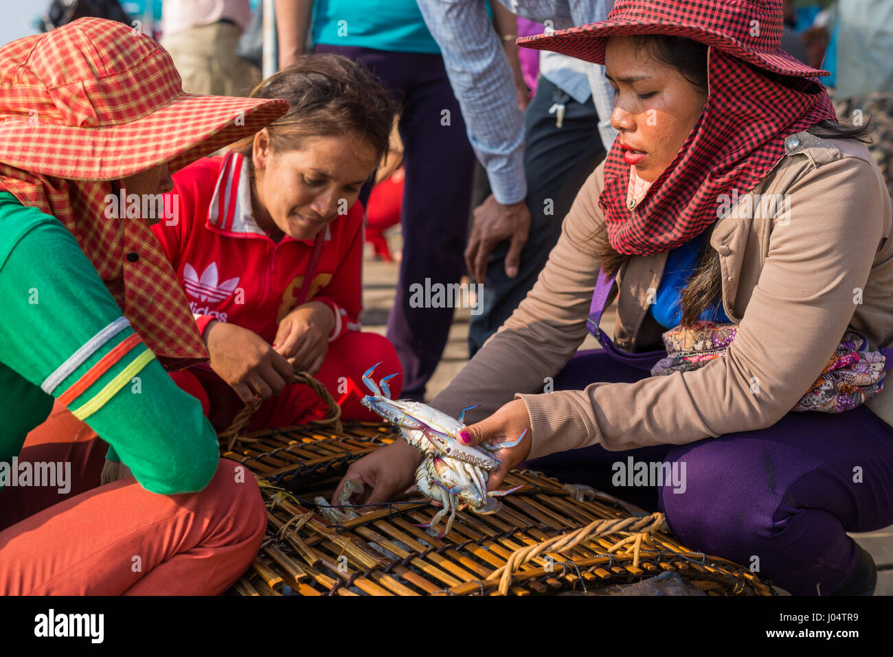 Crab market, Kep, Cambodia, Asia Stock Photo - Alamy