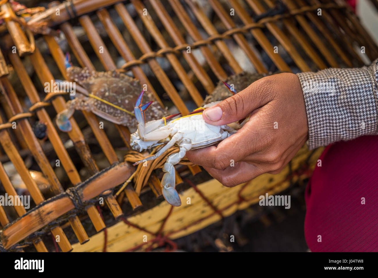 Crab market, Kep, Cambodia, Asia Stock Photo - Alamy