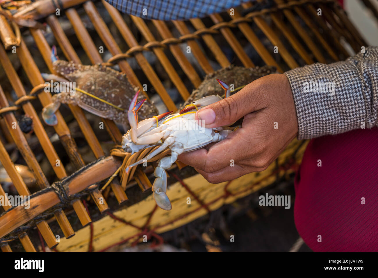 Crab market, Kep, Cambodia, Asia Stock Photo - Alamy