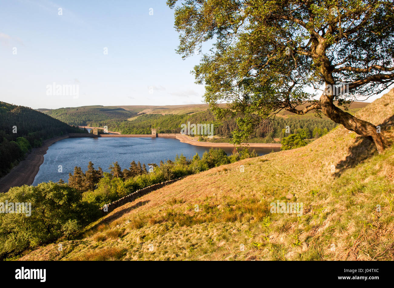 First light on Howden Reservoir in Derbyshire's wooded Upper Derwent ...