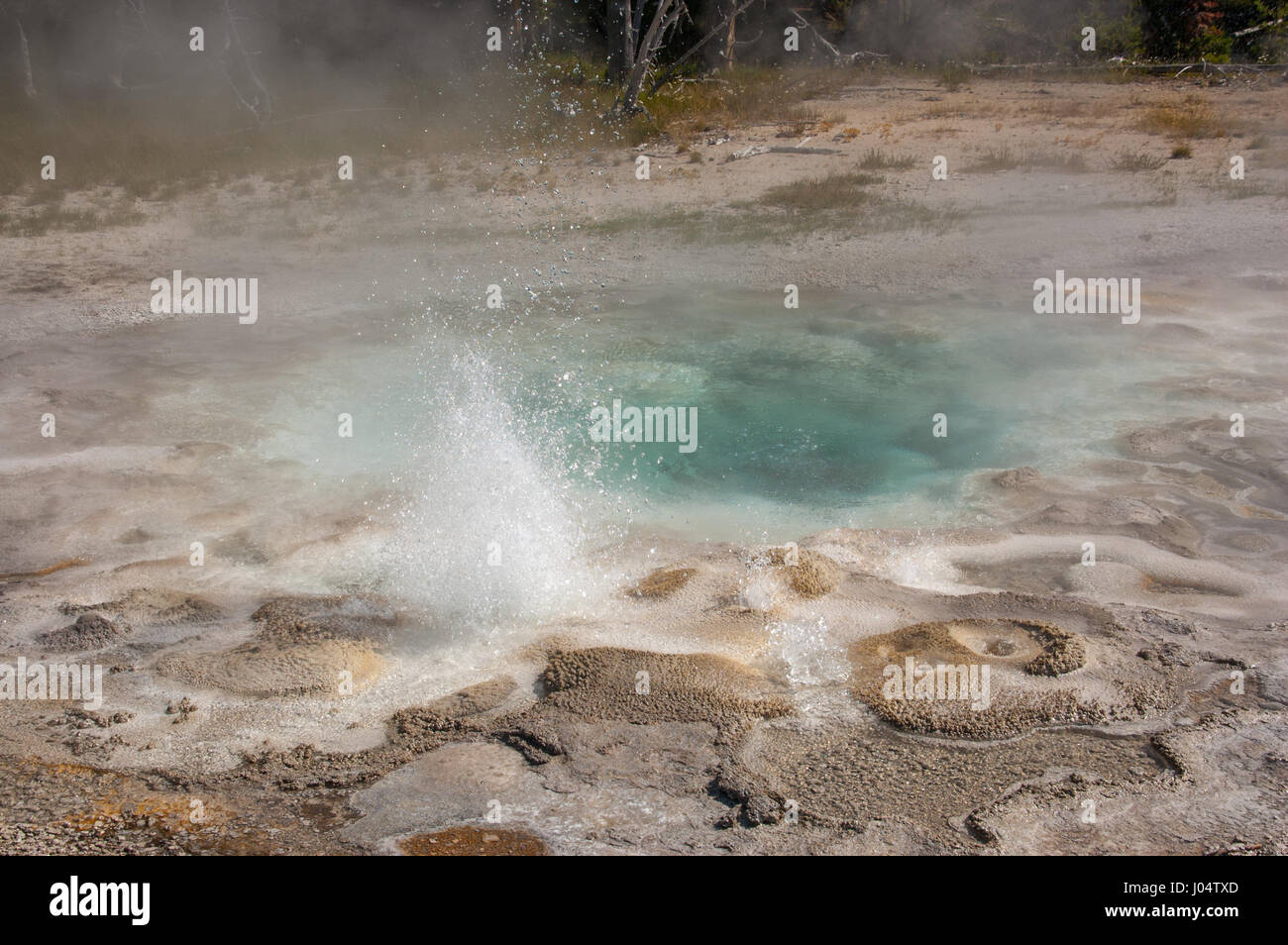 Bubble bubble.... Boiling hot water bubbles and sprays in Yellowstone ...