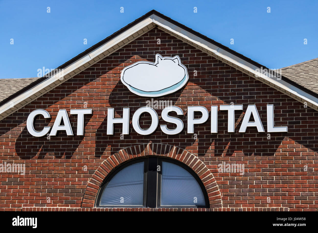 Generic Cat Veterinary and Hospital Sign I Stock Photo - Alamy