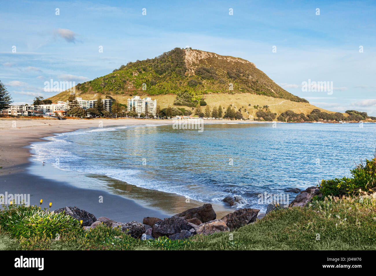 Mount Maunganui, Bay of Plenty, New Zealand. Focus on foreground Stock ...