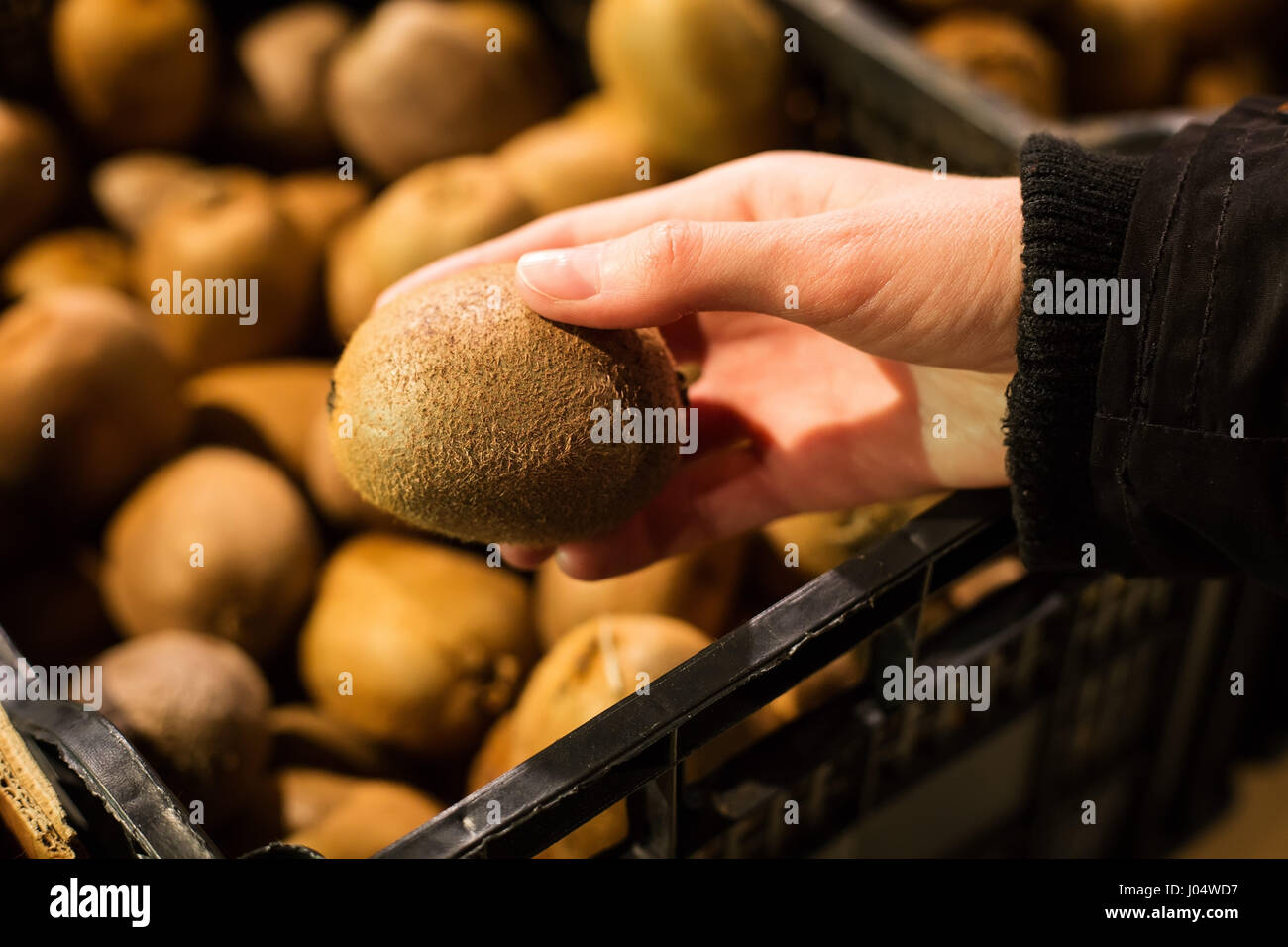 Woman's hand holding kiwi on a lot of blurred kiwi in basket background ...