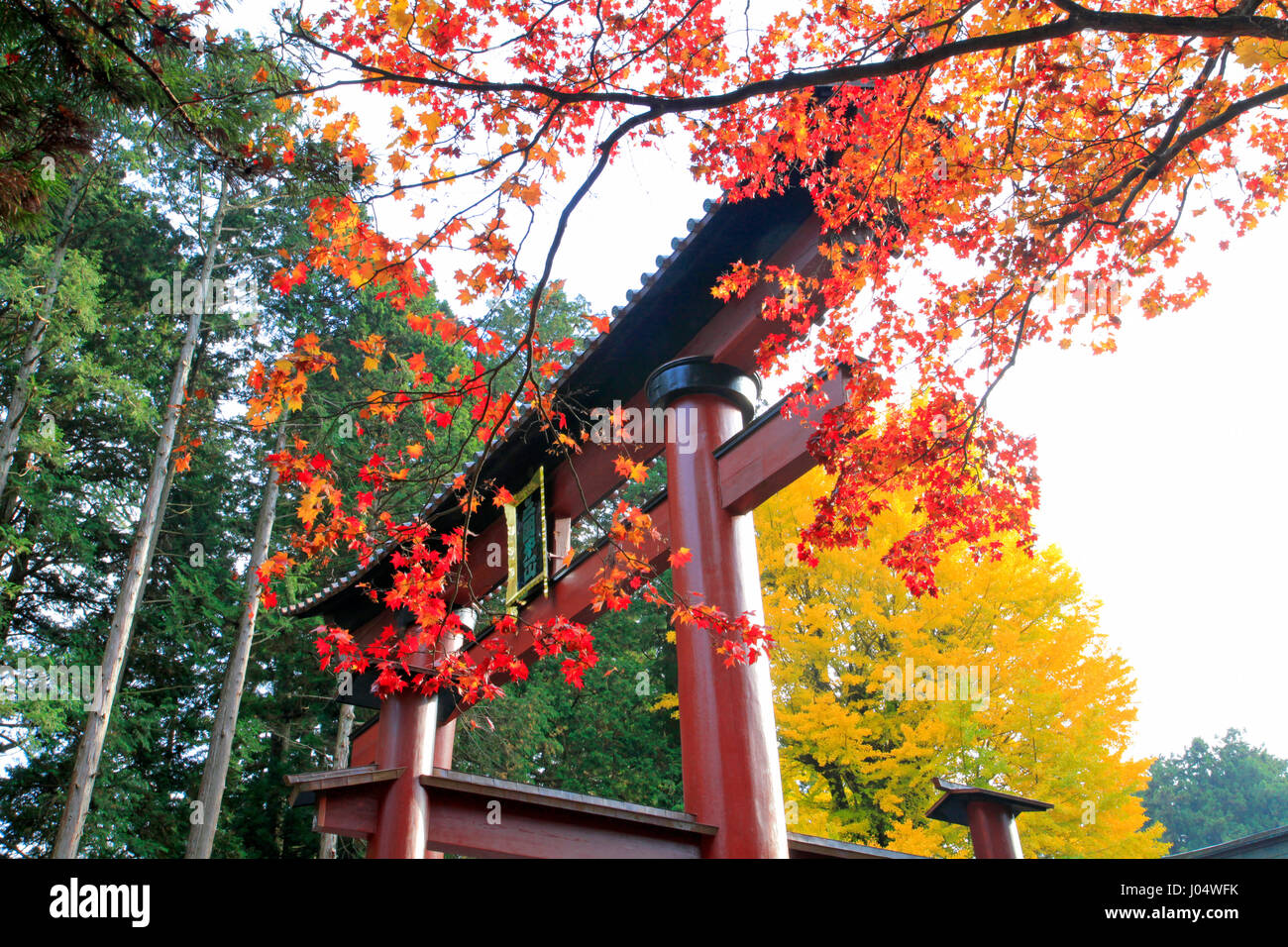 Fuji Sengen Jinja Shinto Shrine Fujiyoshida city Yamanashi Japan Stock ...