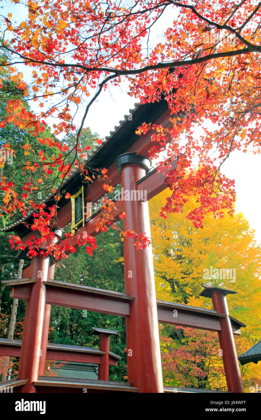 Fuji Sengen Jinja Shinto Shrine Fujiyoshida city Yamanashi Japan Stock ...
