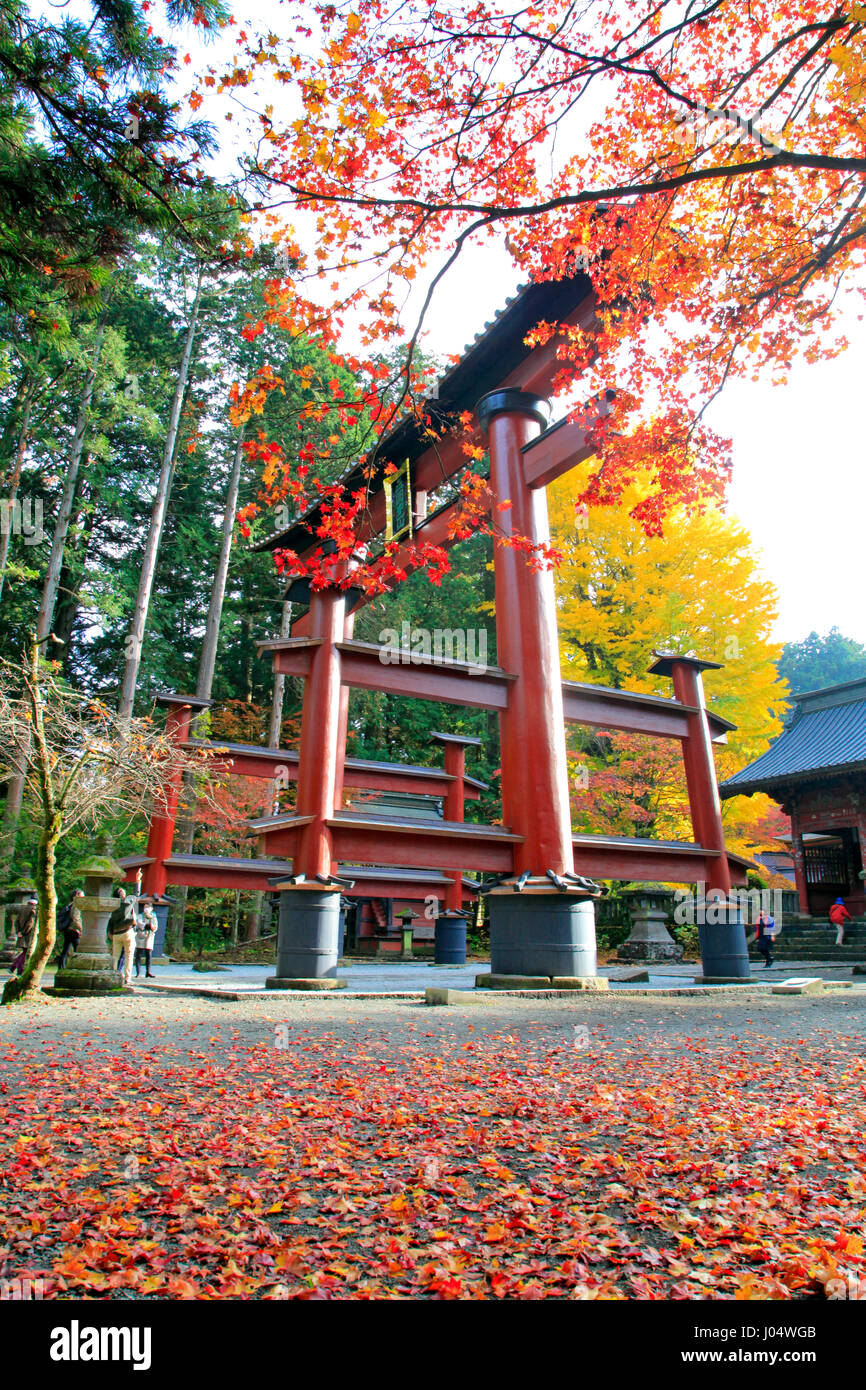 Fuji Sengen Jinja Shinto Shrine Fujiyoshida city Yamanashi Japan Stock ...