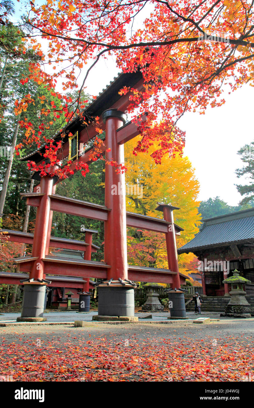 Fuji Sengen Jinja Shinto Shrine Fujiyoshida city Yamanashi Japan Stock ...