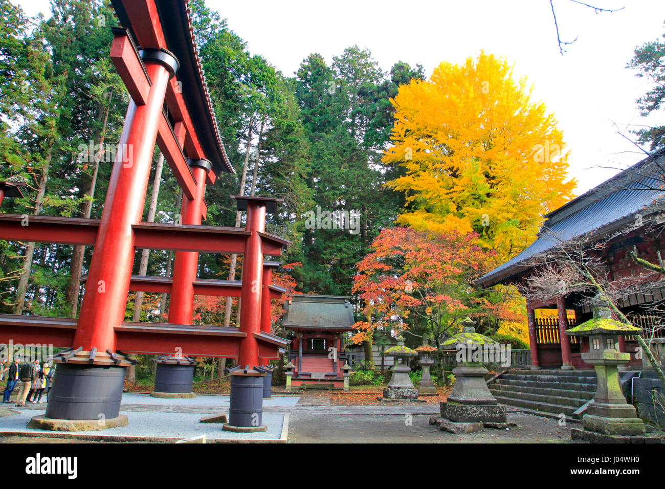 Fuji Sengen Jinja Shinto Shrine Fujiyoshida city Yamanashi Japan Stock ...