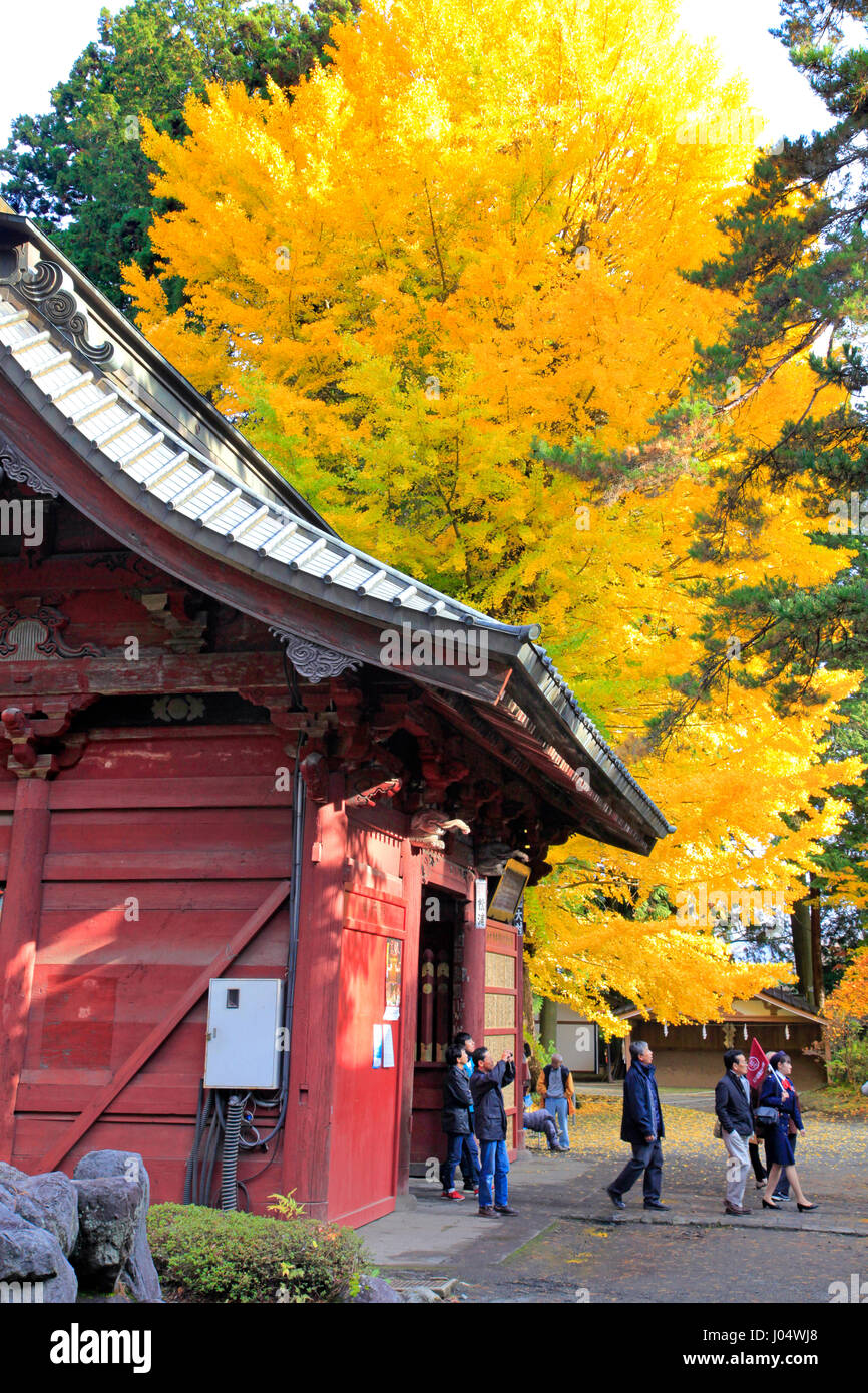 Fuji Sengen Jinja Shinto Shrine Fujiyoshida city Yamanashi Japan Stock ...