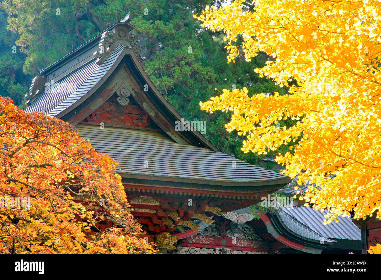 Fuji Sengen Jinja Shinto Shrine Fujiyoshida city Yamanashi Japan Stock ...