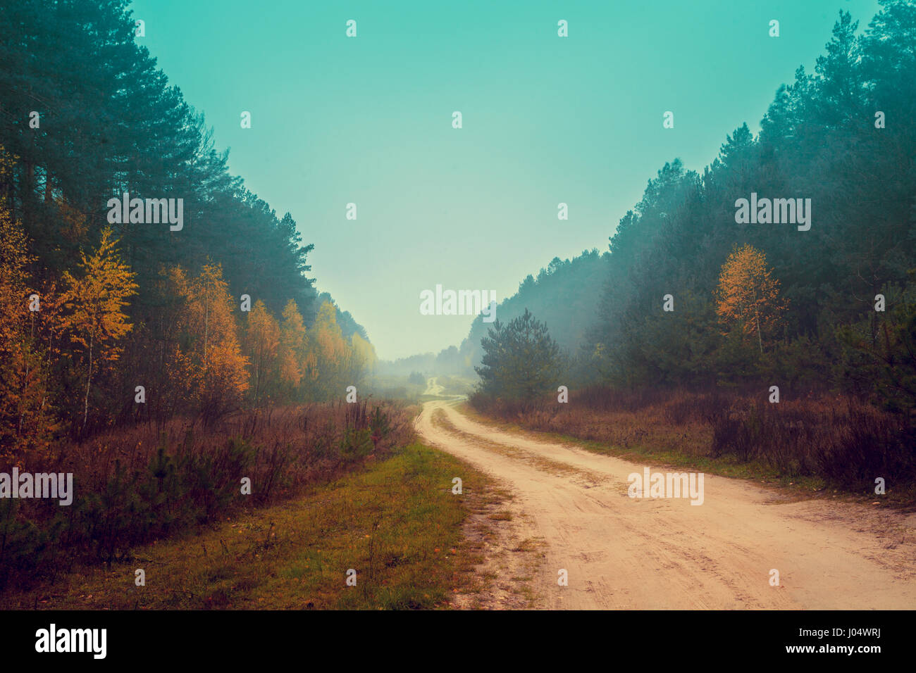 Rural autumn landscape, misty morning, dirt road among forest Stock ...