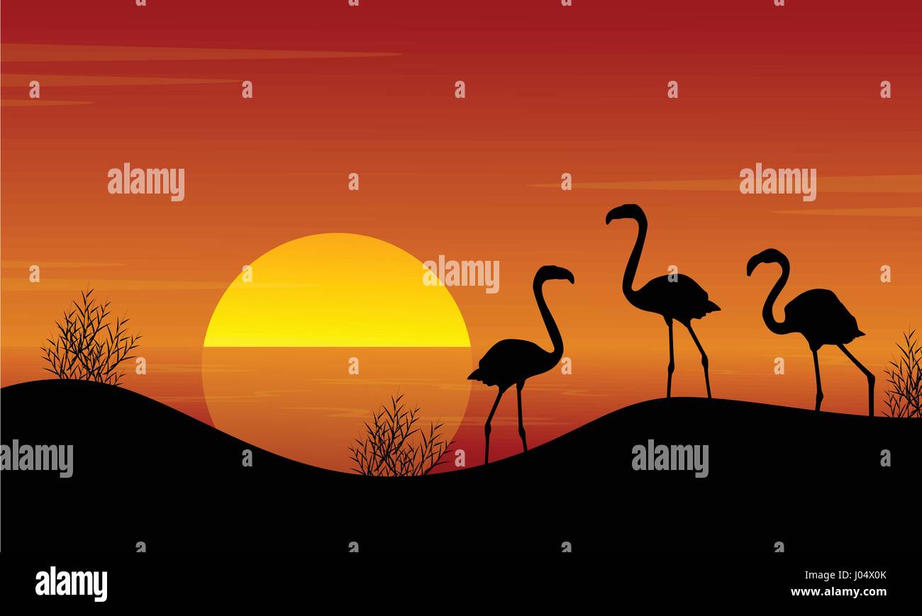 At sunset flamingo on lake landscape vector illustration Stock Vector ...