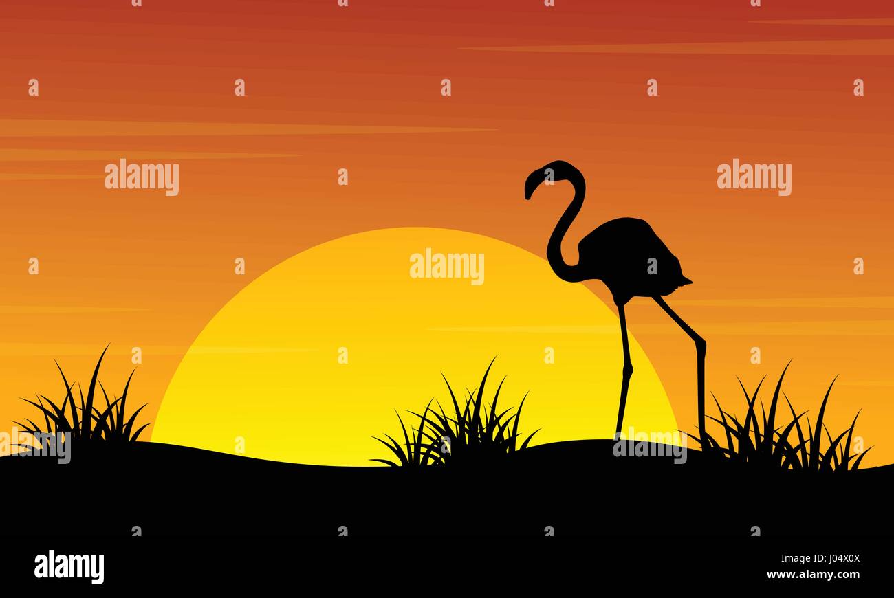 At sunset flamingo scenery silhouettes vector illustration Stock Vector ...