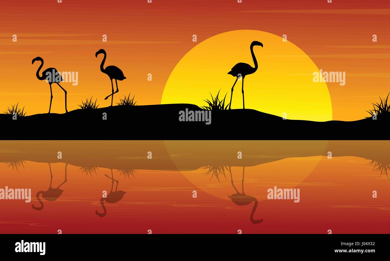 Vector illustration of flamingo at sunset scenery Stock Vector Image ...