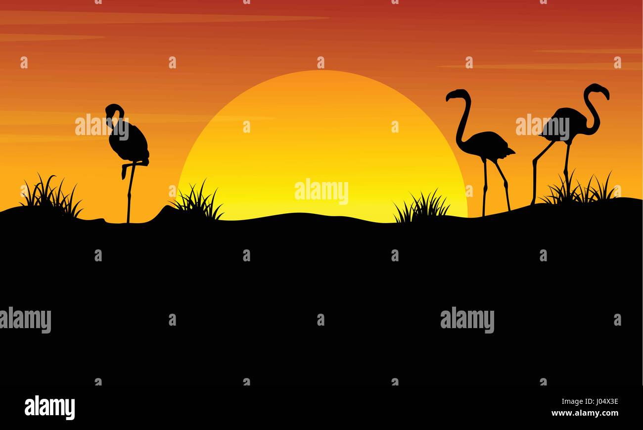 At sunset with flamingo silhouette landscape Stock Vector Image & Art ...