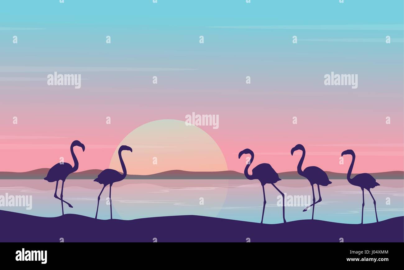Vector illustration flamingo sunset scenery hi-res stock photography ...