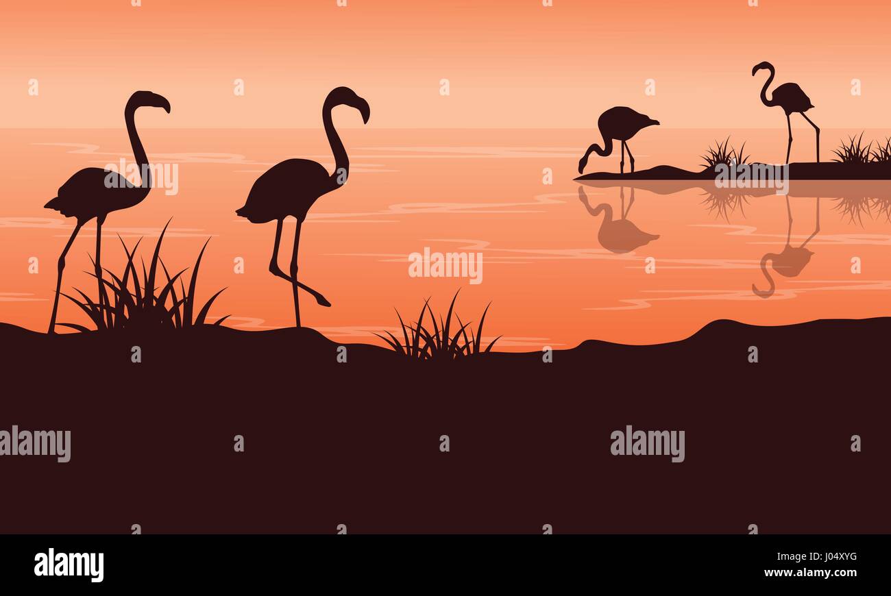 Scenery at sunset with flamingo silhouettes Stock Vector Image & Art ...