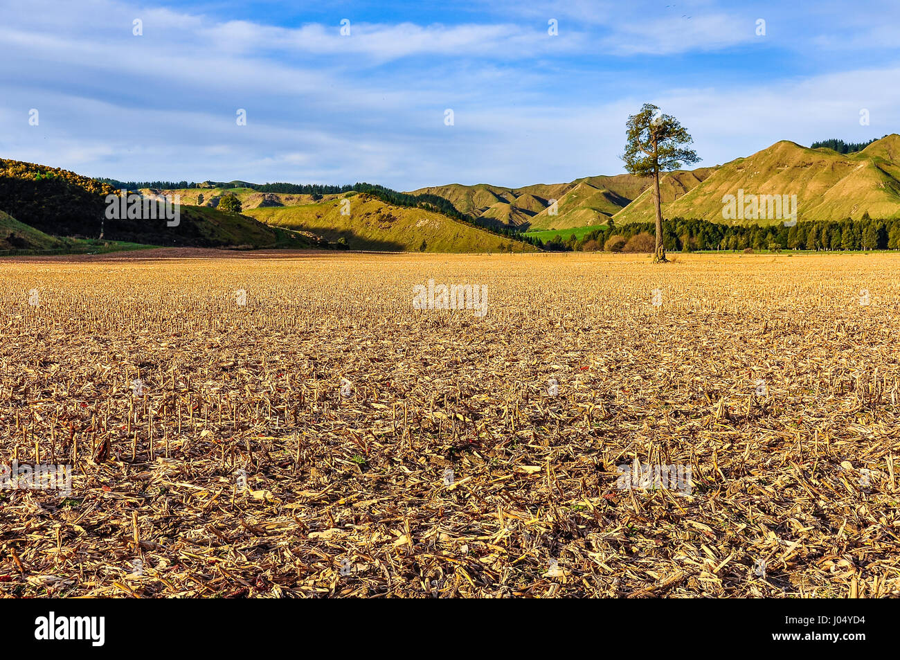 Whanganui national park hi-res stock photography and images - Alamy