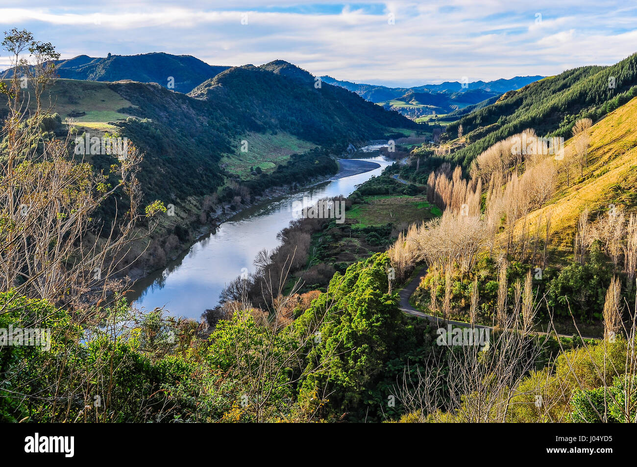 View of the river and the surrounding forest in the Whanganui National ...