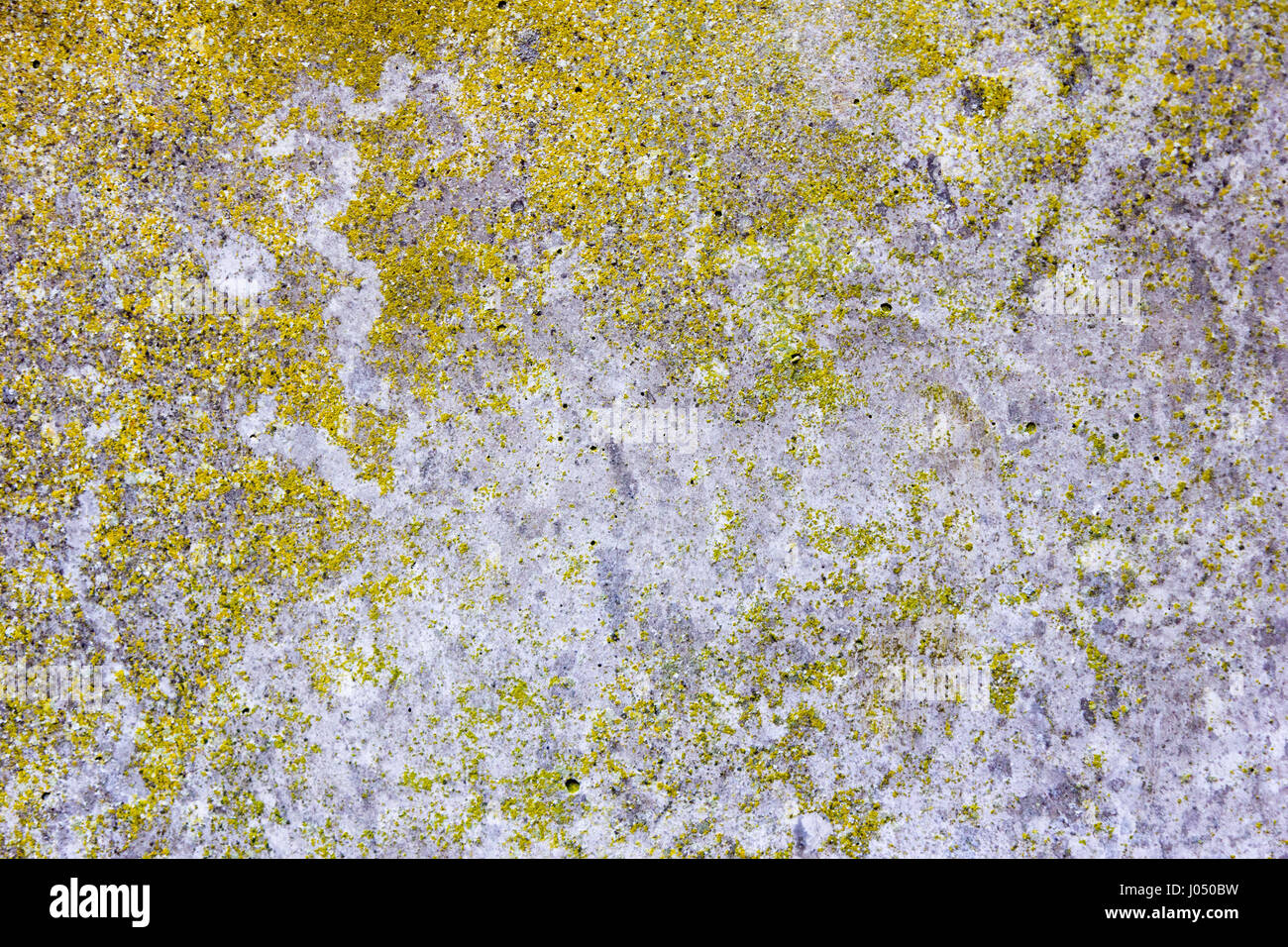 Concrete overgrown with moss and lichen Stock Photo - Alamy