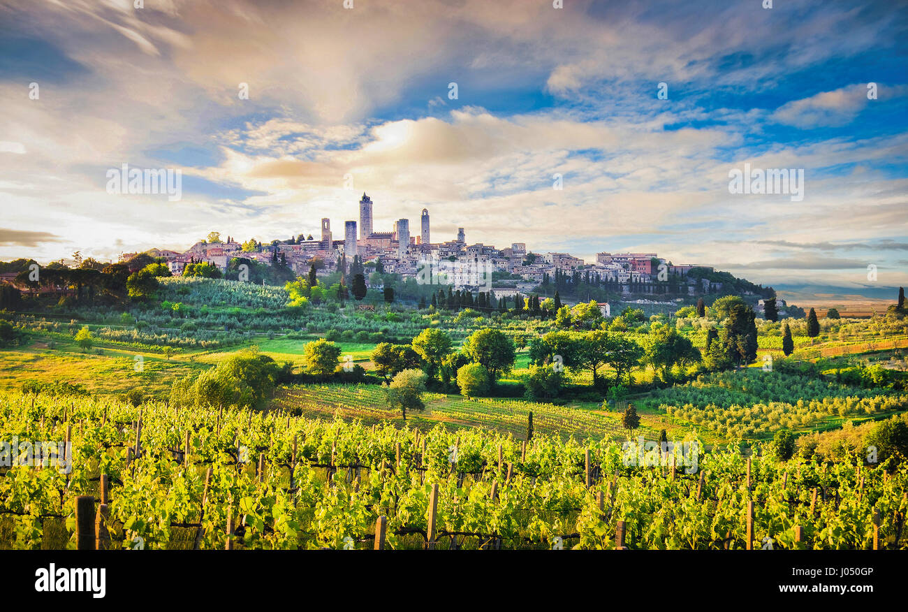 Classic view of the medieval town of San Gimignano and Tuscan ...