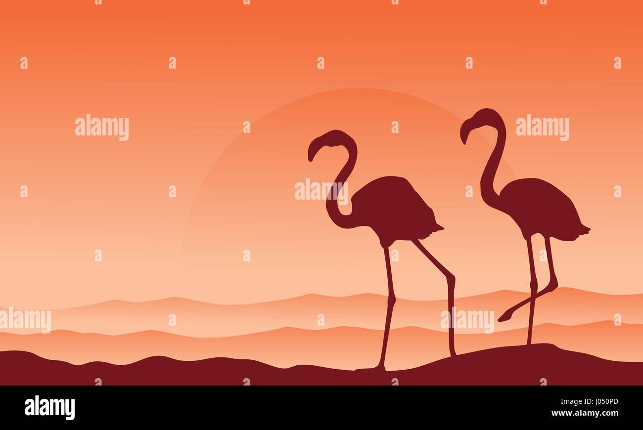 Silhouette of two flamingo landscape Stock Vector Image & Art - Alamy