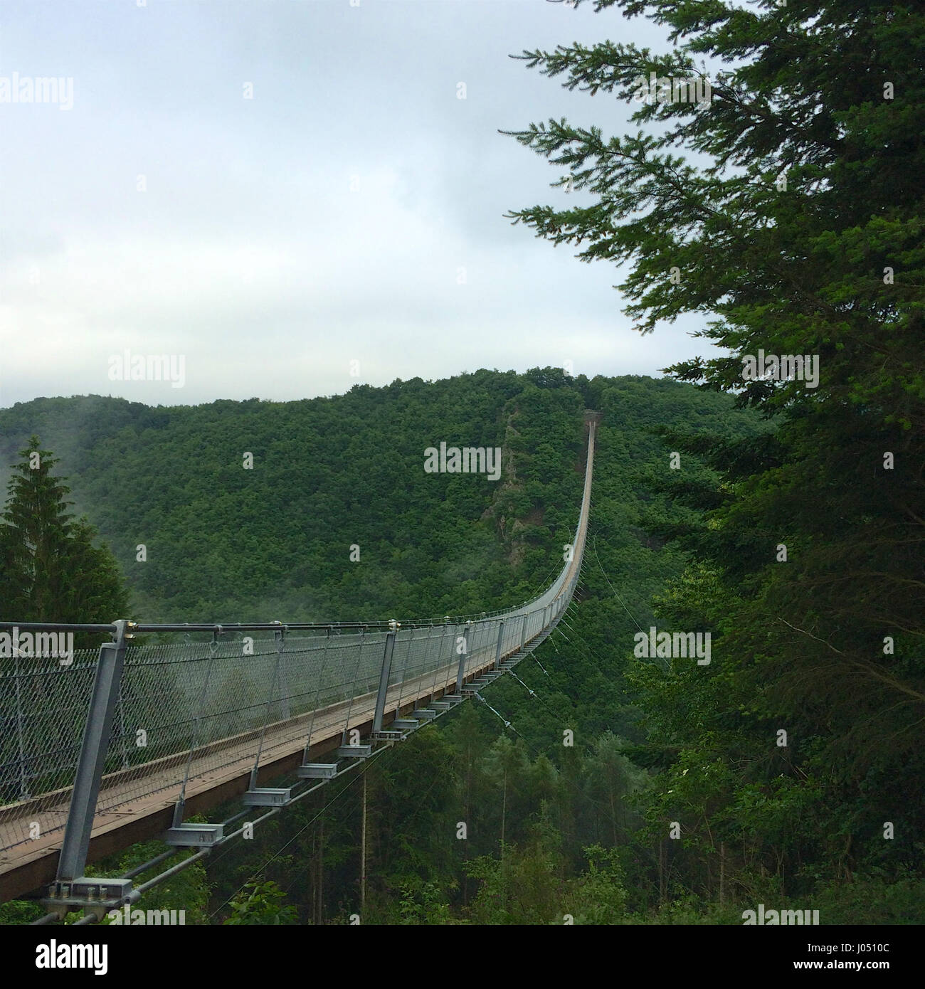 Geierlay suspension bridge Stock Photo - Alamy