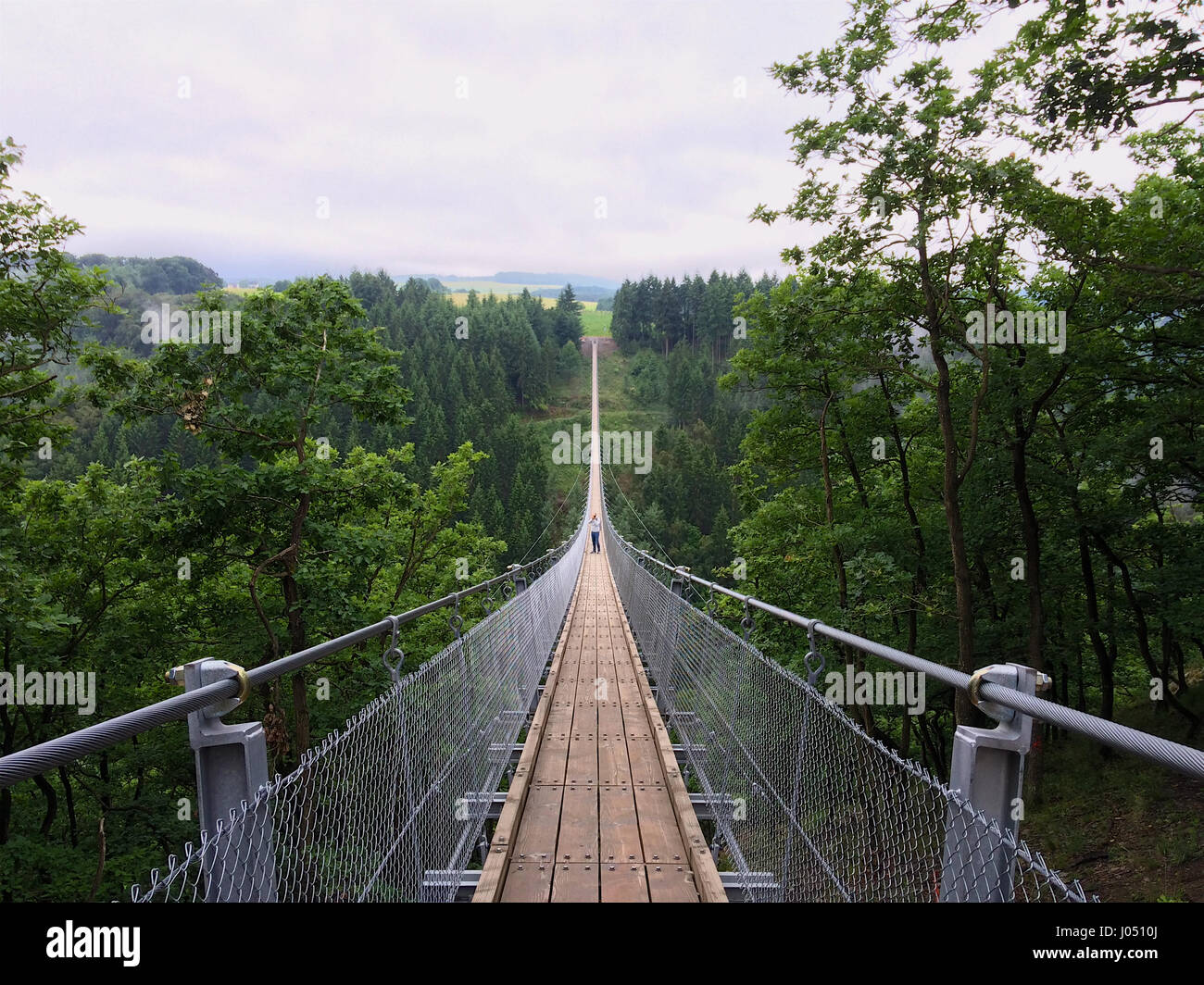 Geierlay suspension bridge Stock Photo - Alamy