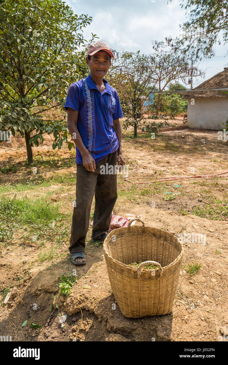 Kampot black pepper hi-res stock photography and images - Alamy