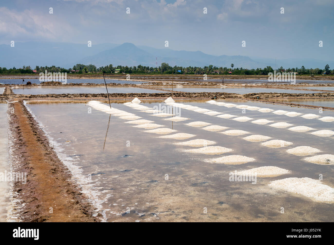 salt fields of Kampot, Cambodia, Asia Stock Photo - Alamy