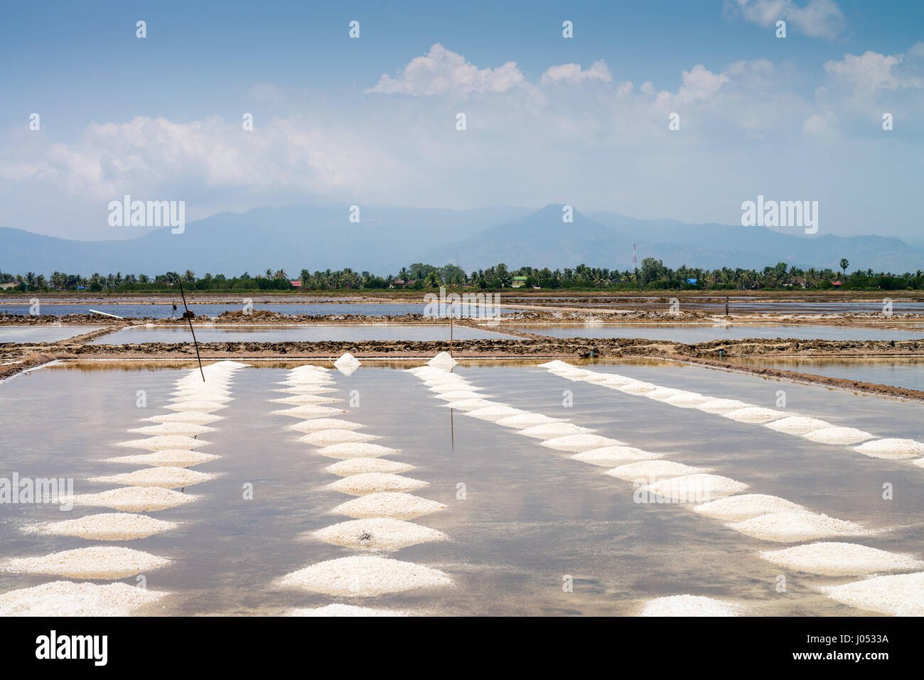 salt fields of Kampot, Cambodia, Asia Stock Photo - Alamy