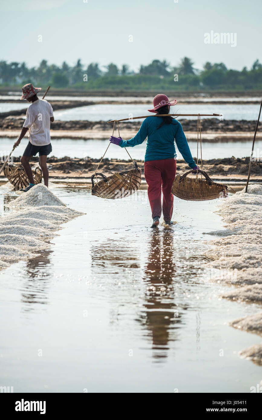 Local people working in the salt fields of Kampot, Cambodia, Asia Stock ...