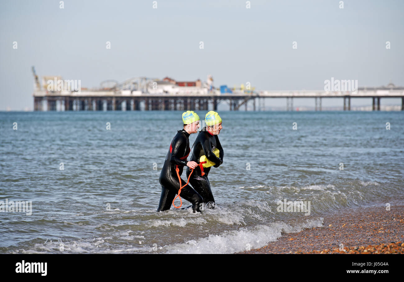 Brighton, UK. 11th Apr, 2017. Swimmers training for their lifeguard ...
