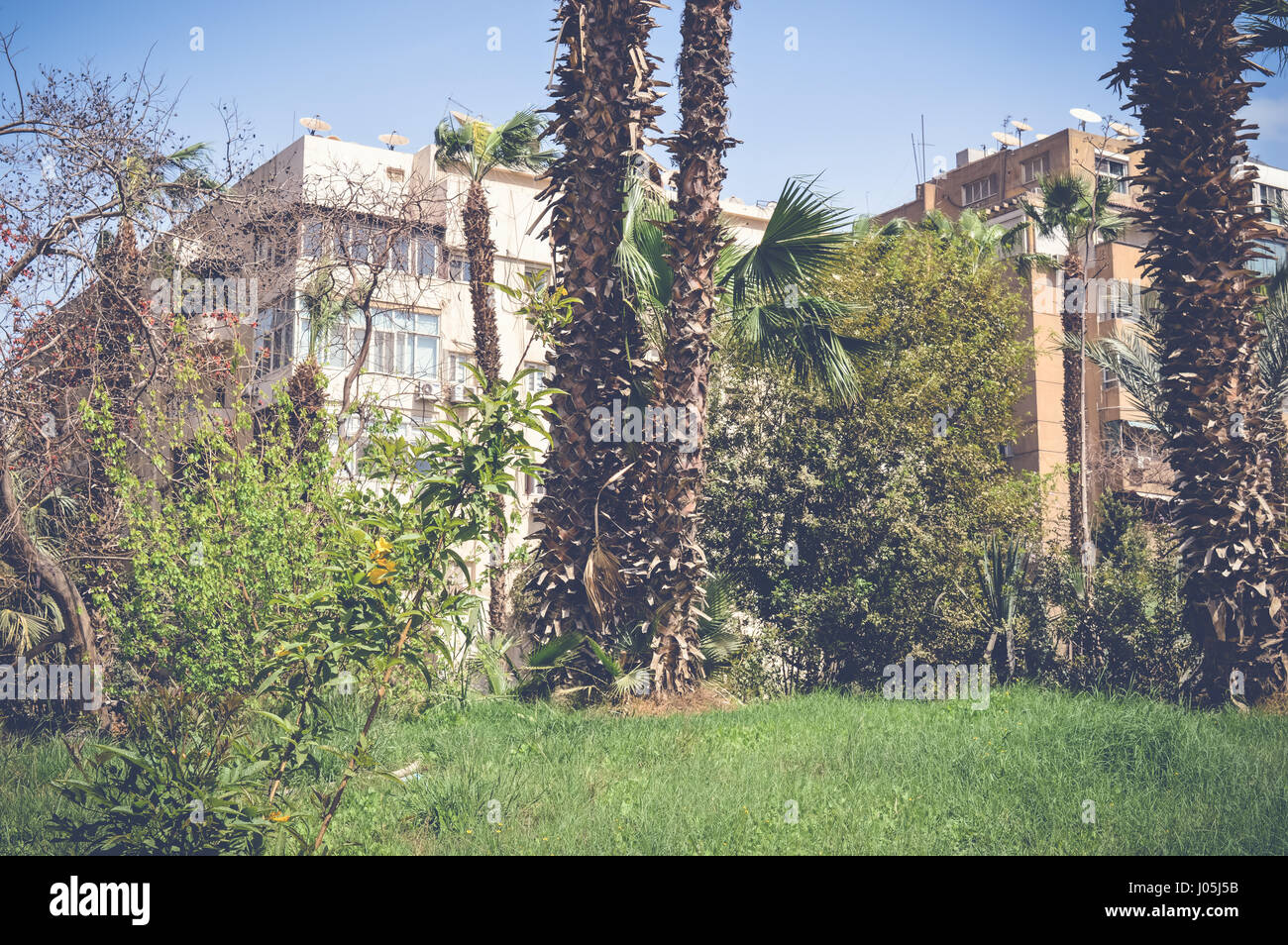 cairo, egypt, march 11, 2017: view of green nature with old buildings ...
