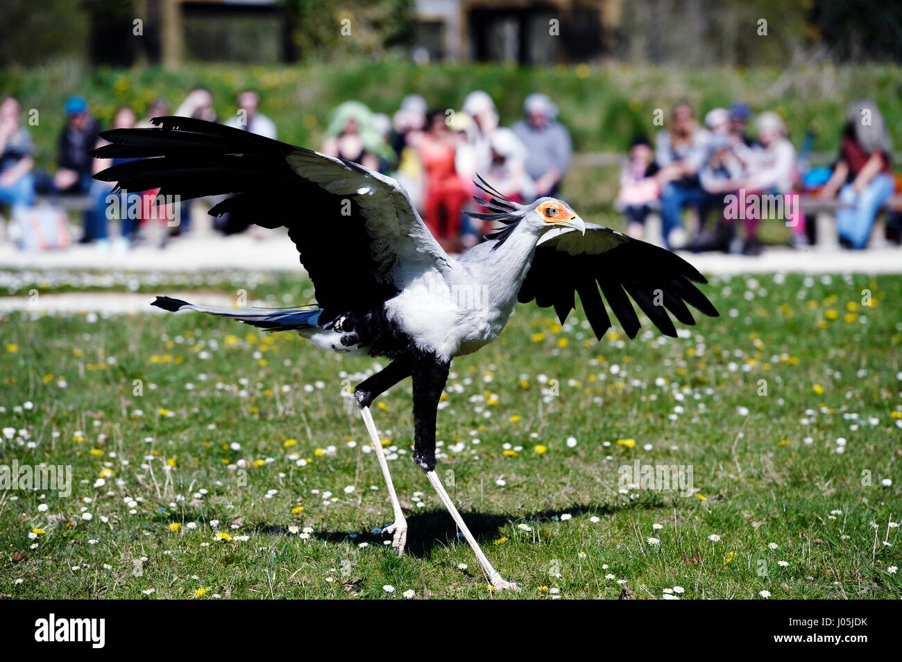 Espace Rambouillet Wildlife Park Stock Photo - Alamy