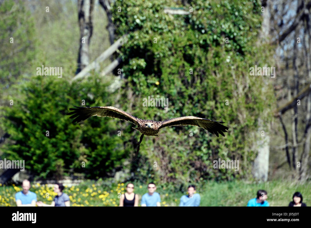 Espace Rambouillet Wildlife Park Stock Photo - Alamy