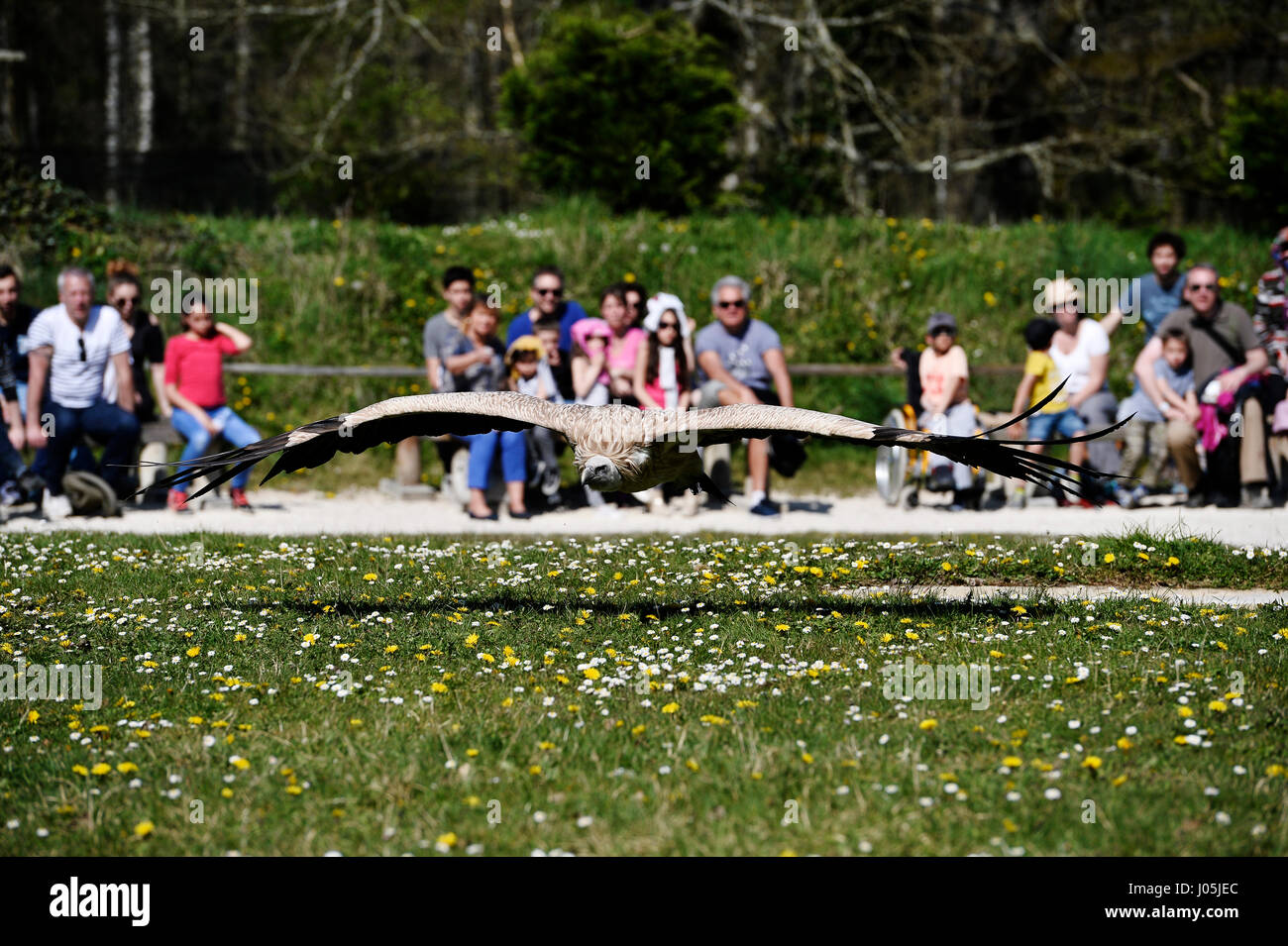 Espace Rambouillet Wildlife Park Stock Photo - Alamy