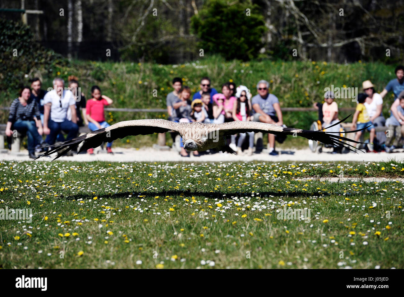 Espace Rambouillet Wildlife Park Stock Photo - Alamy