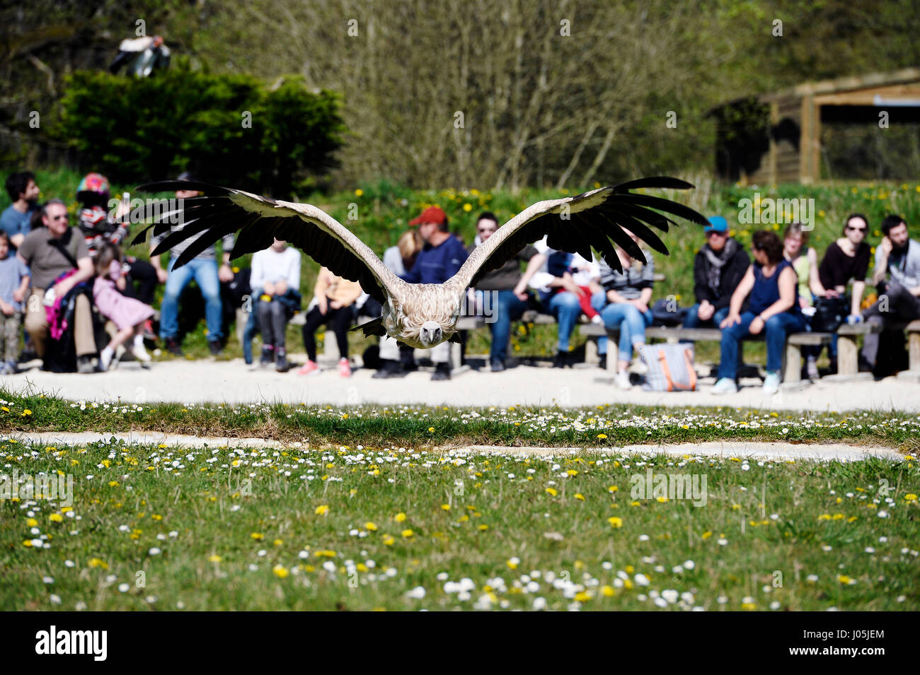 Espace Rambouillet Wildlife Park Stock Photo - Alamy