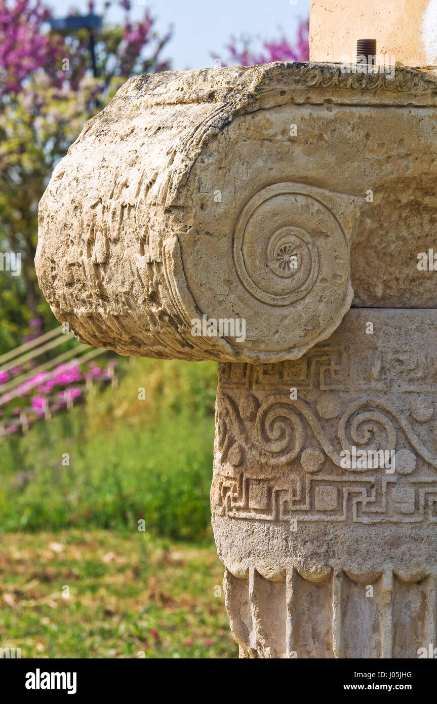 Archaeological Park. Metaponto. Basilicata. Italy Stock Photo - Alamy