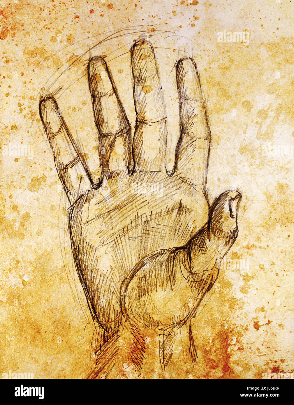 Drawing hand, pencil sketch on paper, sepia and vintage effect Stock ...