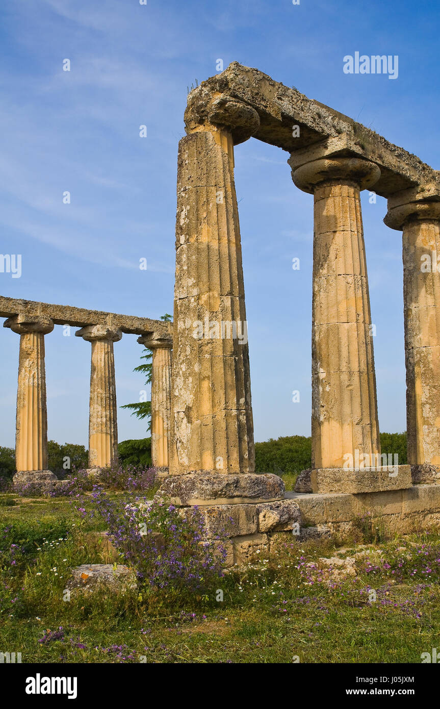 Tavole Palatine. Metaponto. Basilicata. Italy Stock Photo - Alamy