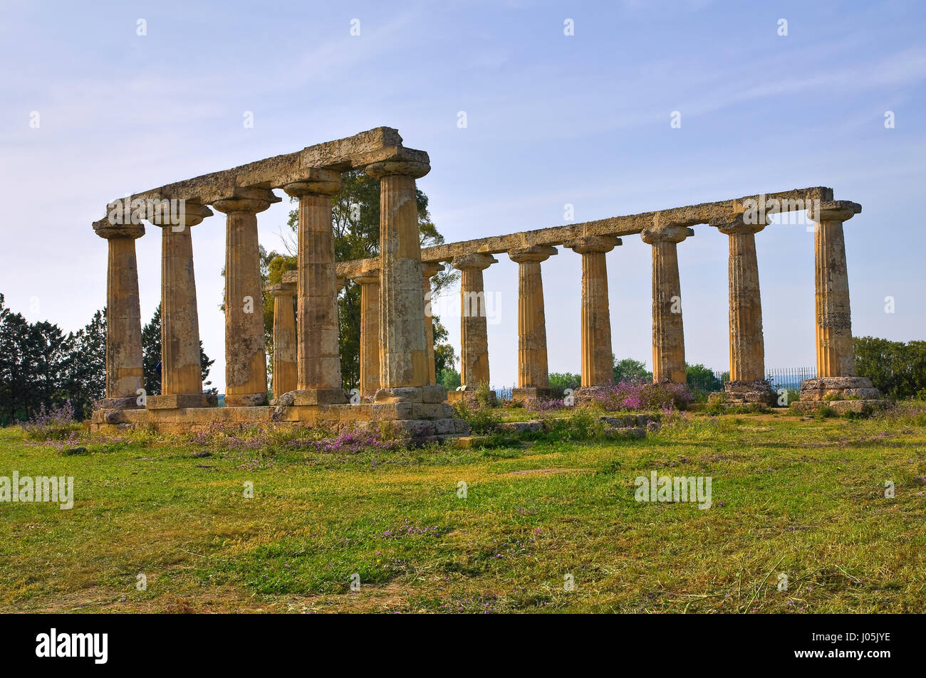 Tavole Palatine. Metaponto. Basilicata. Italy Stock Photo - Alamy