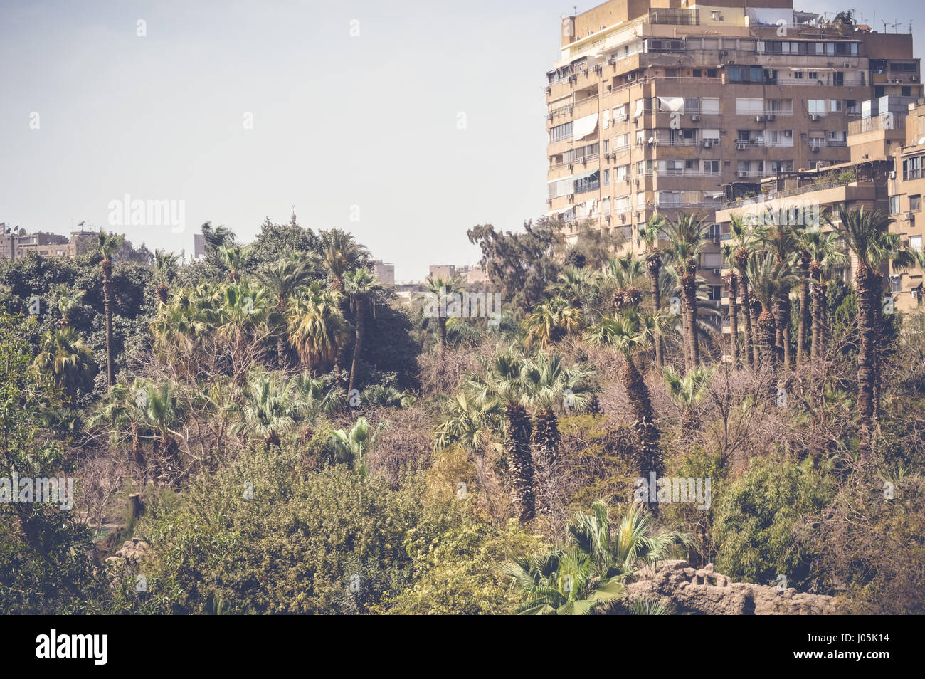 cairo, egypt, march 11, 2017: green nature with view of old buildings ...
